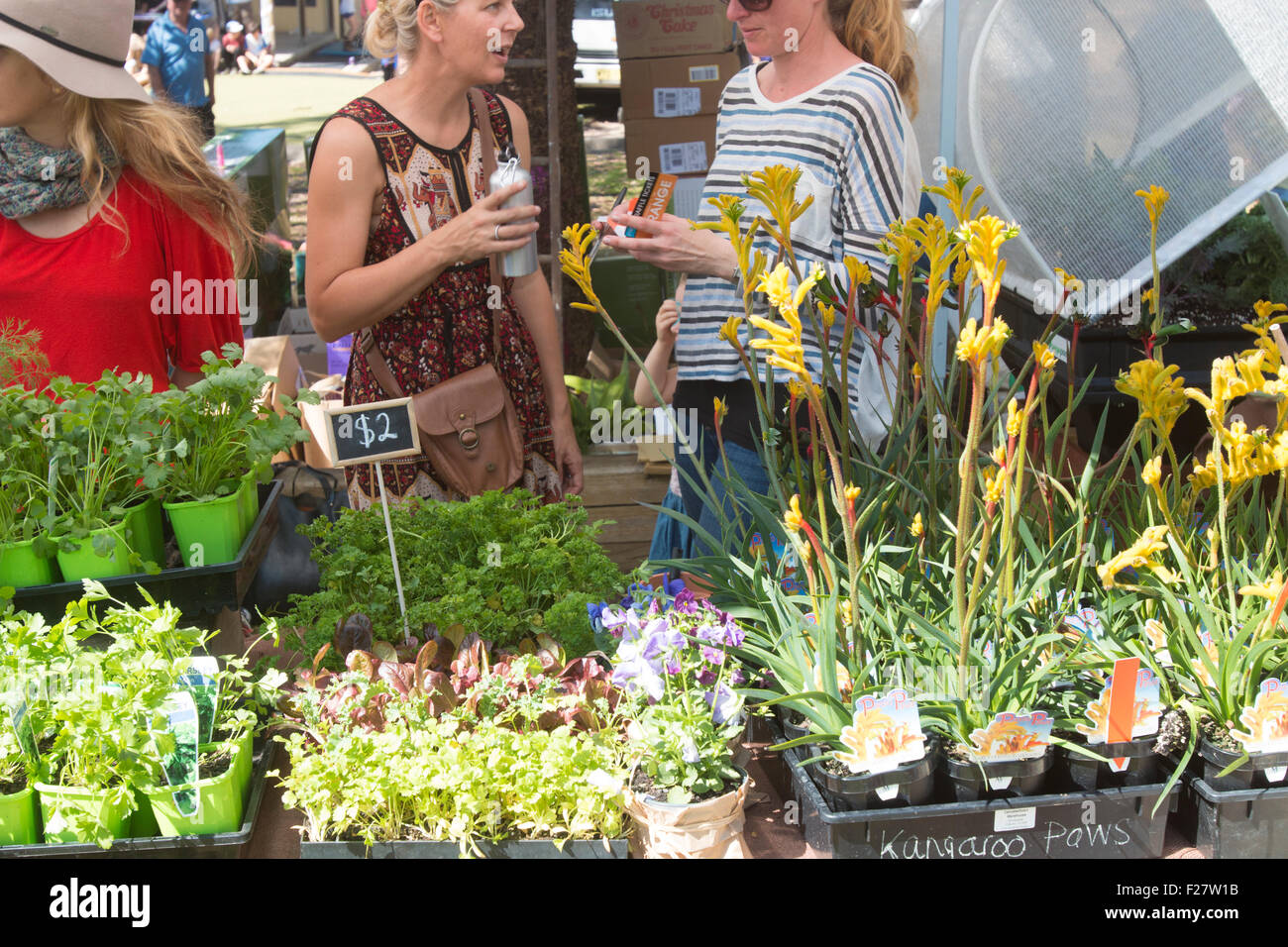 Plant stall school hi-res stock photography and images - Alamy
