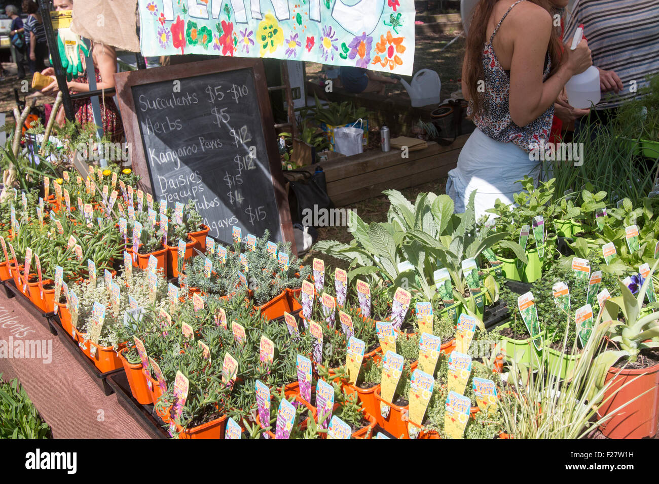 Plants stall fete hi-res stock photography and images - Alamy