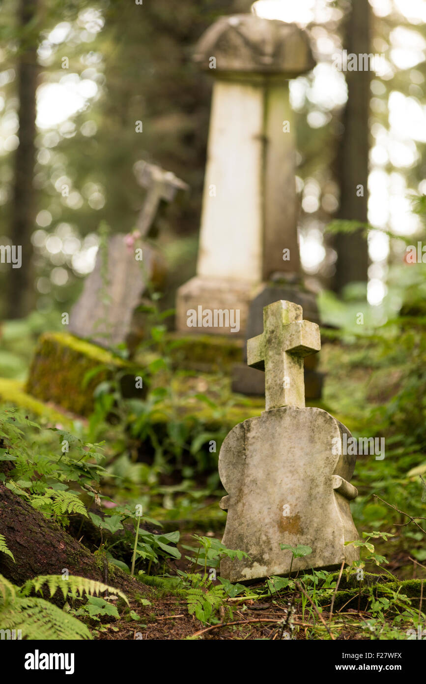 Sitka alaska forest hi-res stock photography and images - Alamy