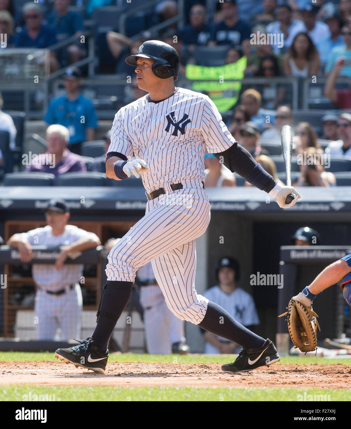 New York, NY, USA. 13th Sep, 2015. Yankee's ALEX RODRIGUEZ hits a ...
