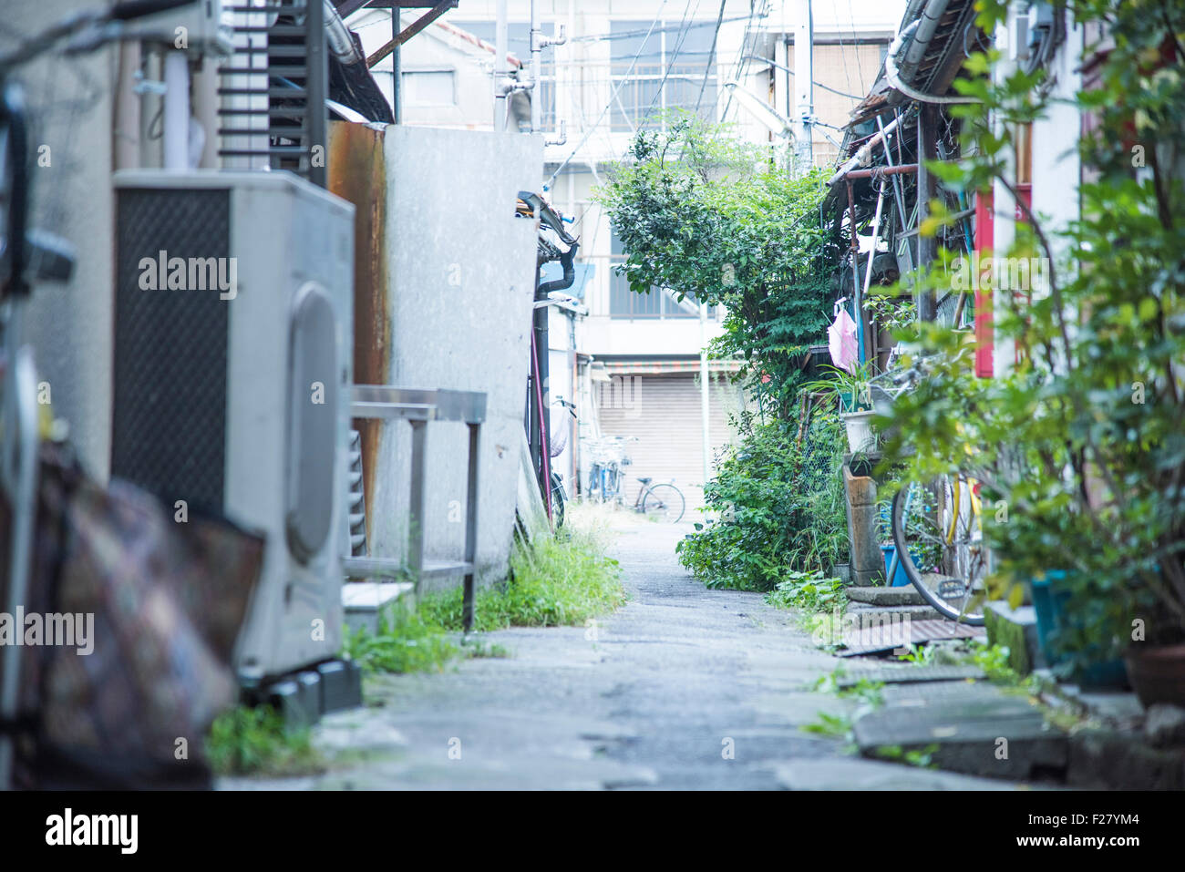 Shopping street,Joyful Minowa,Arakawa-Ku,Tokyo,Japan Stock Photo - Alamy