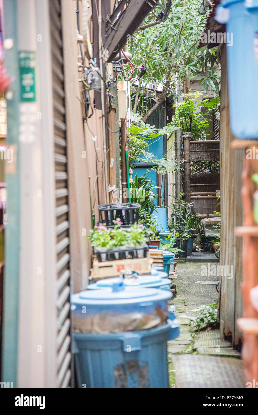 Shopping street,Joyful Minowa,Arakawa-Ku,Tokyo,Japan Stock Photo - Alamy
