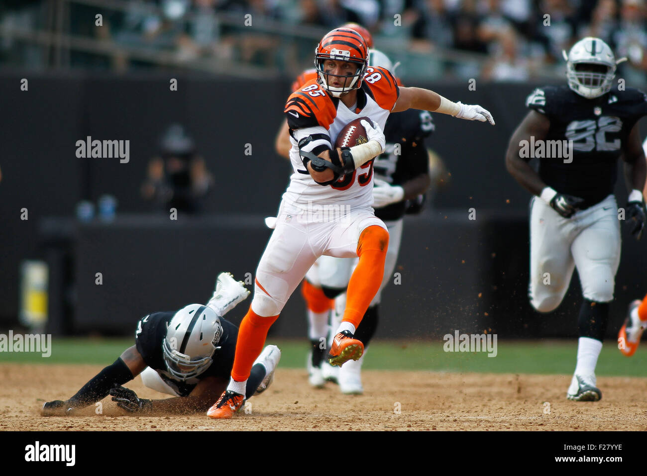 Oakland, California, USA. 13th Sep, 2015. Cincinnati Bengals running ...