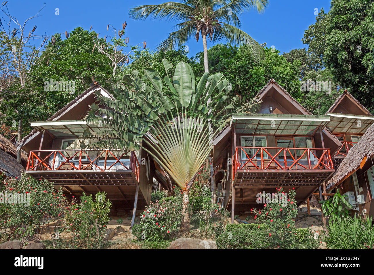 African hut palm tree hi-res stock photography and images - Alamy