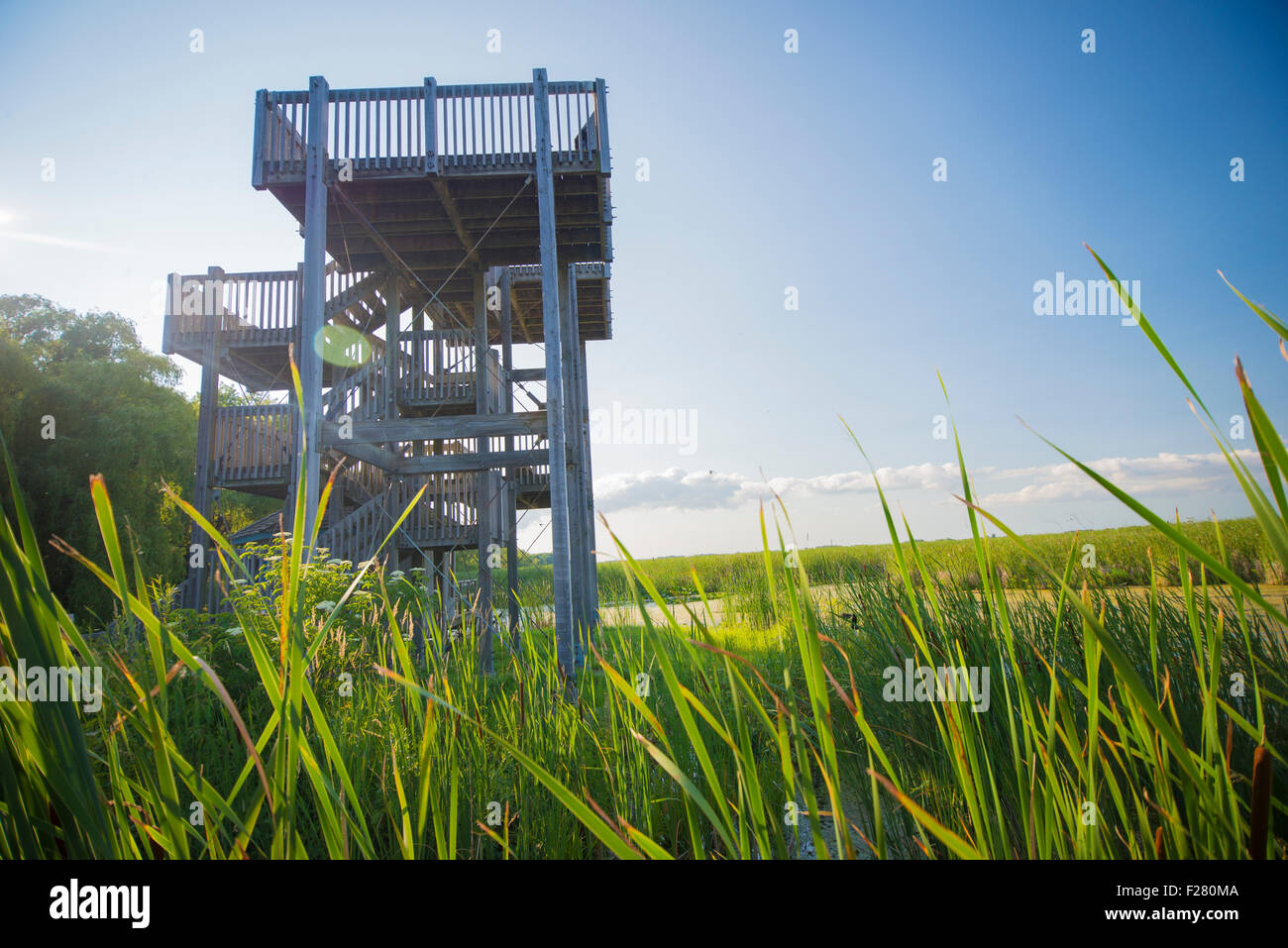 Wooden lookout on Pelee point conservation area, Ontario, Canada Stock ...