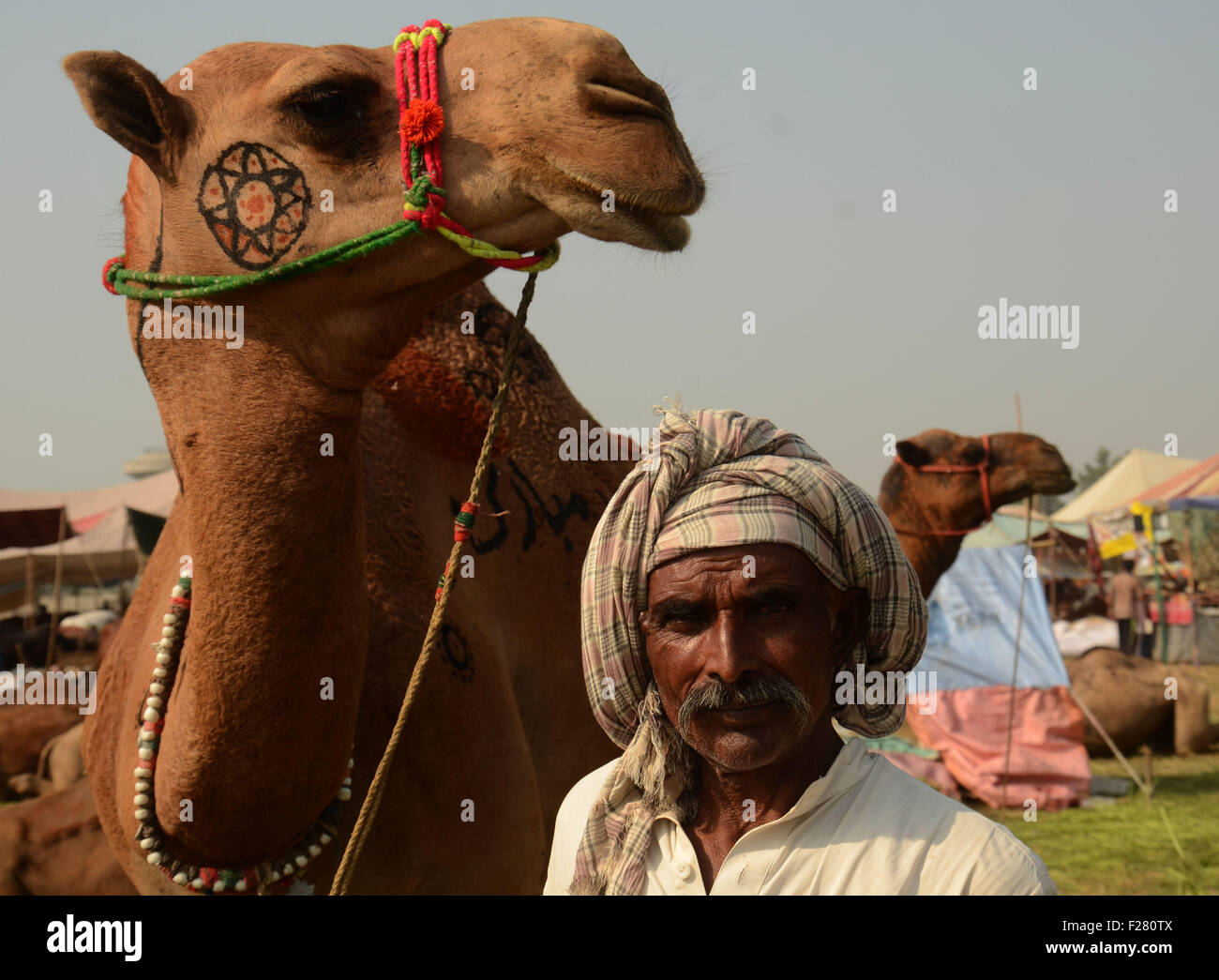 Lahore, Pakistan. 14th Sep, 2015. Pakistani vendor displays his camel ...
