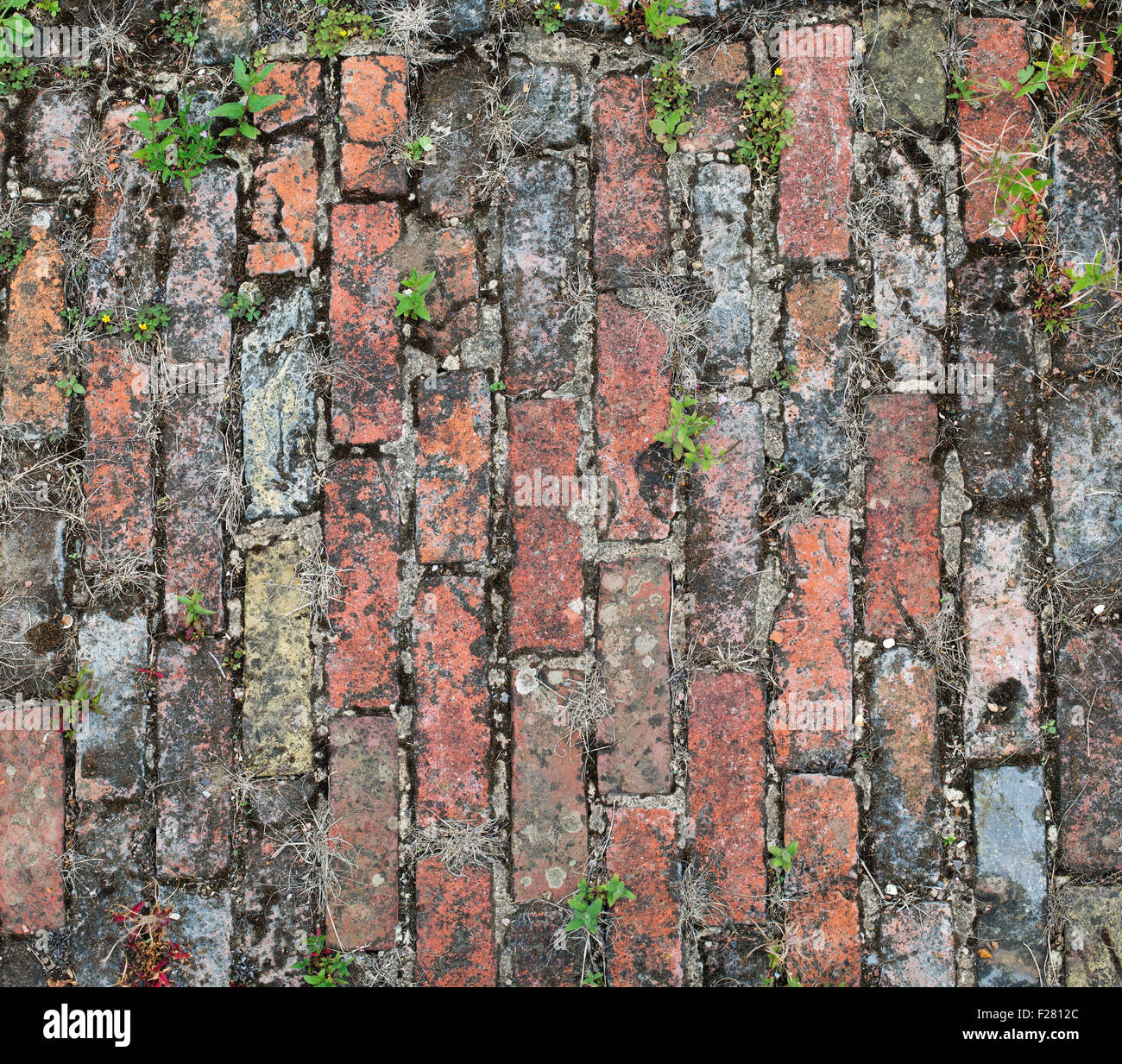 Weathered Brick Path Image Of Old Red Brick Path Block Paving Paved