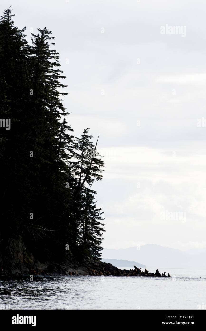 Frederick sound alaska hi-res stock photography and images - Alamy