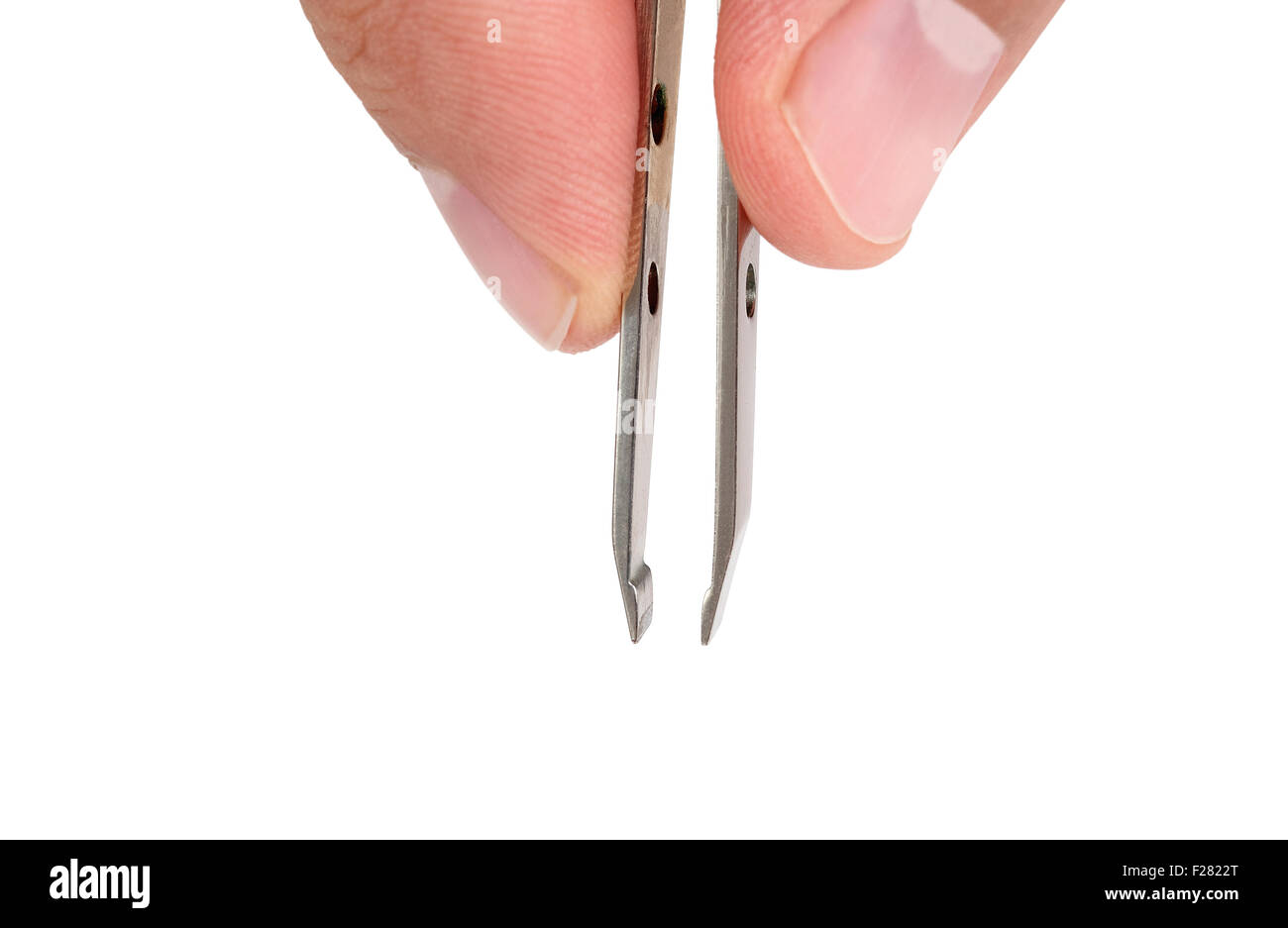 Hand with tweezers. Isolated with clipping path Stock Photo - Alamy