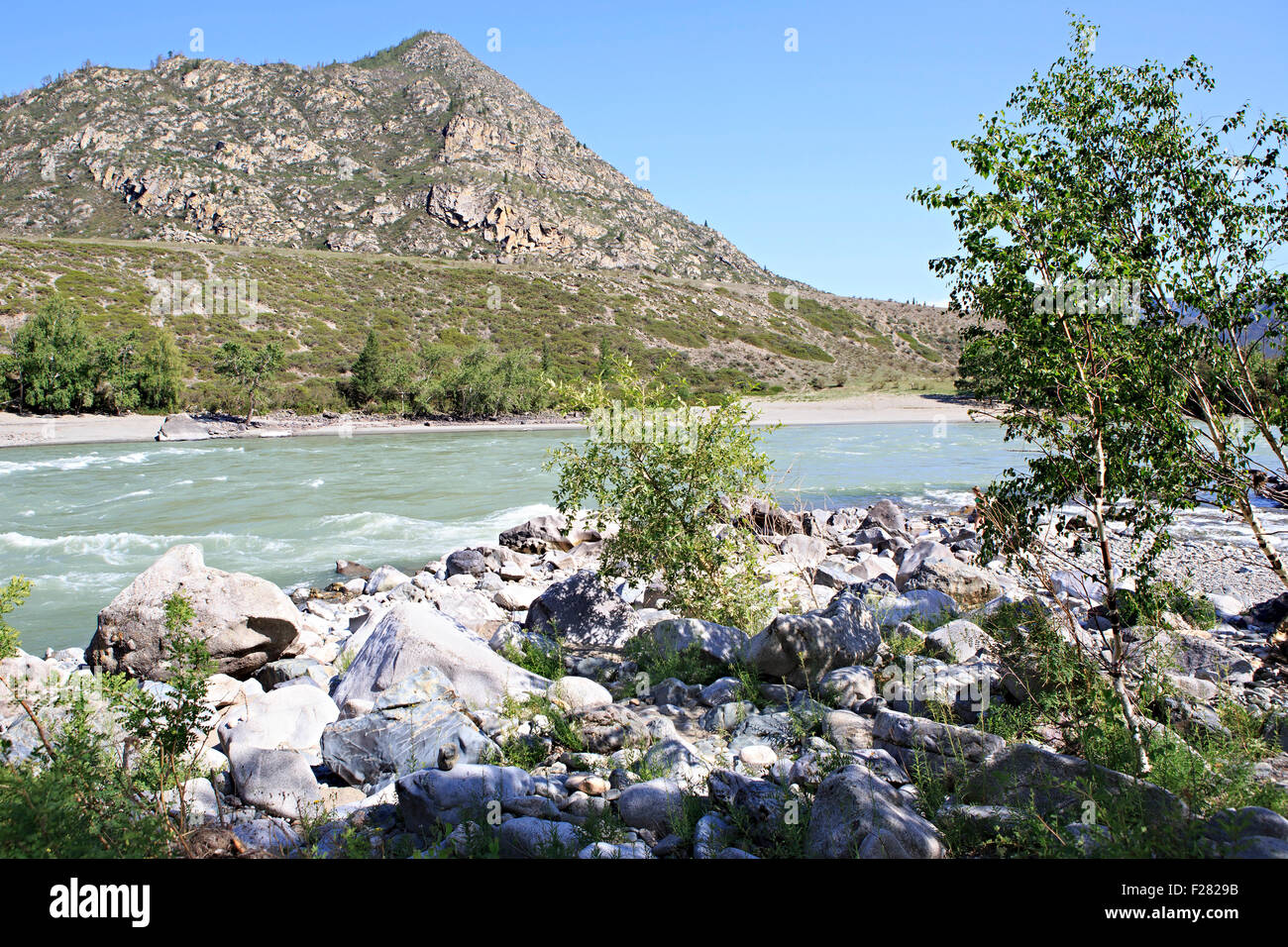 Confluence of mountain rivers Big Ilgumen and Katun Stock Photo - Alamy