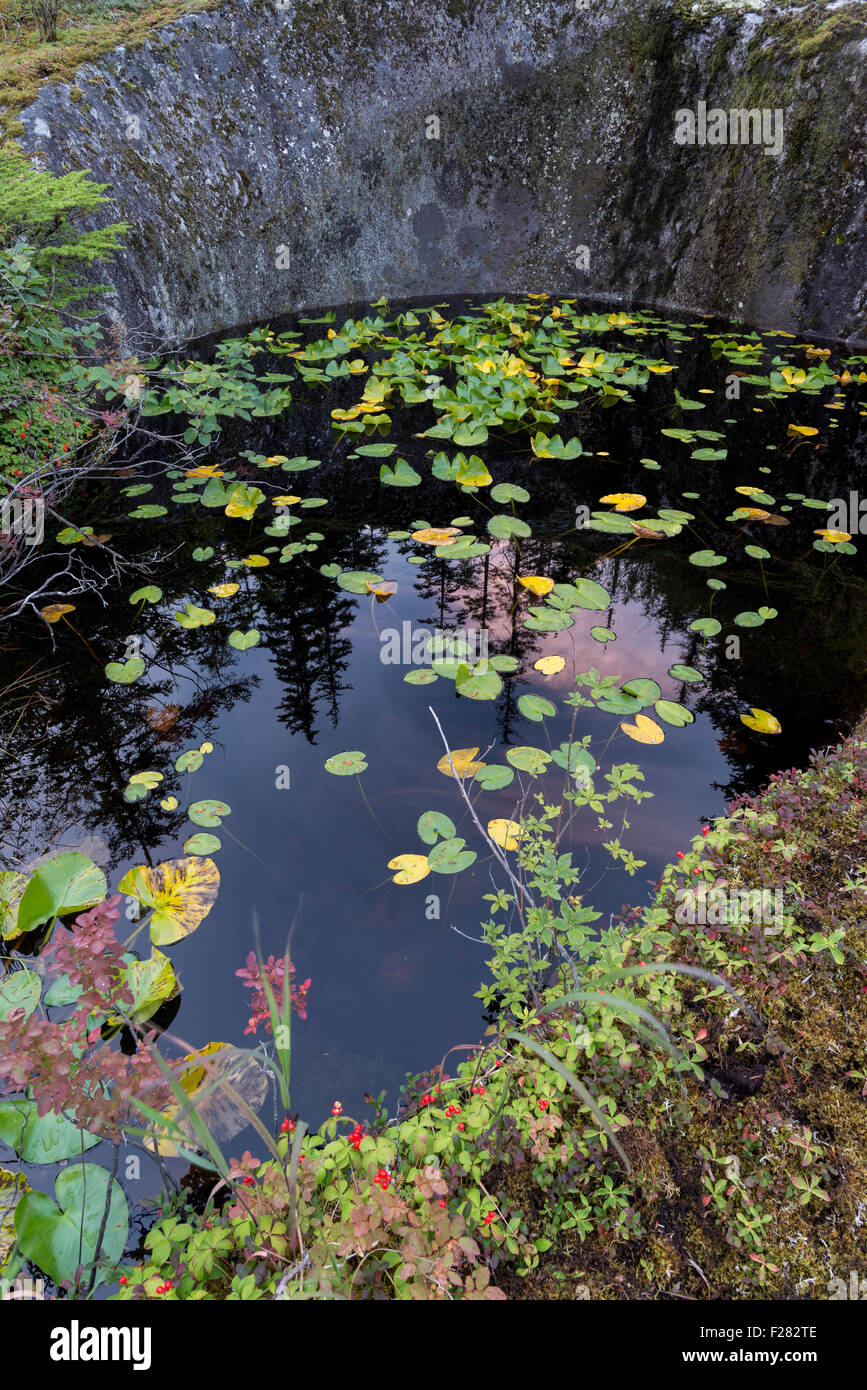 Muskeg hi-res stock photography and images - Alamy