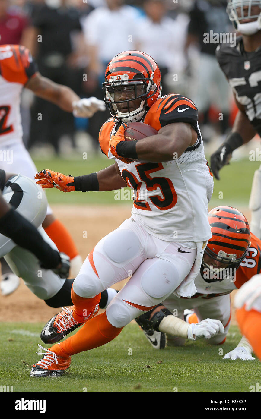 Oakland, California, USA. 13th Sep, 2015. Cincinnati Bengals running ...