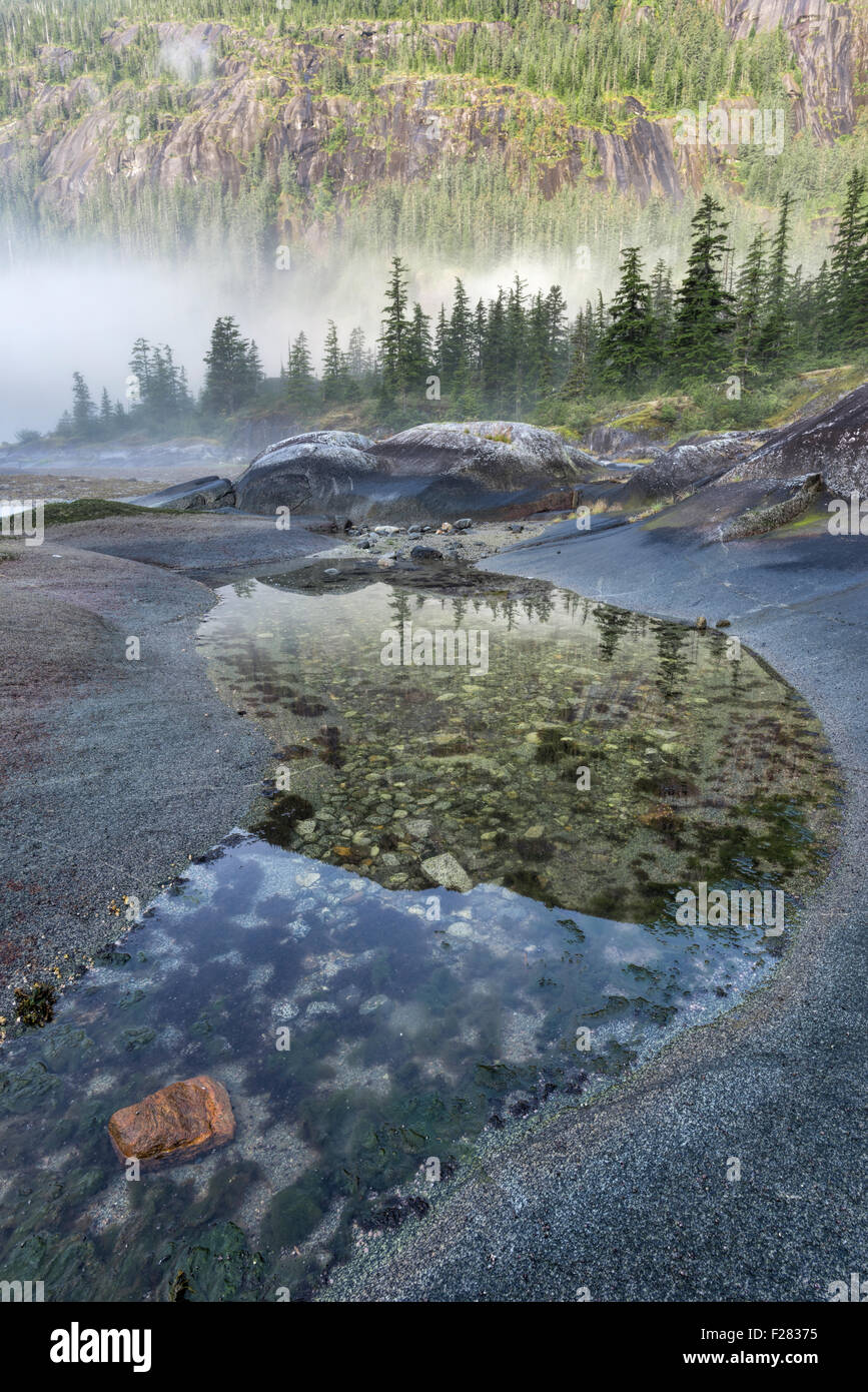 Pool in the intertidal zone of Fords Terror, a glacial fiord in ...