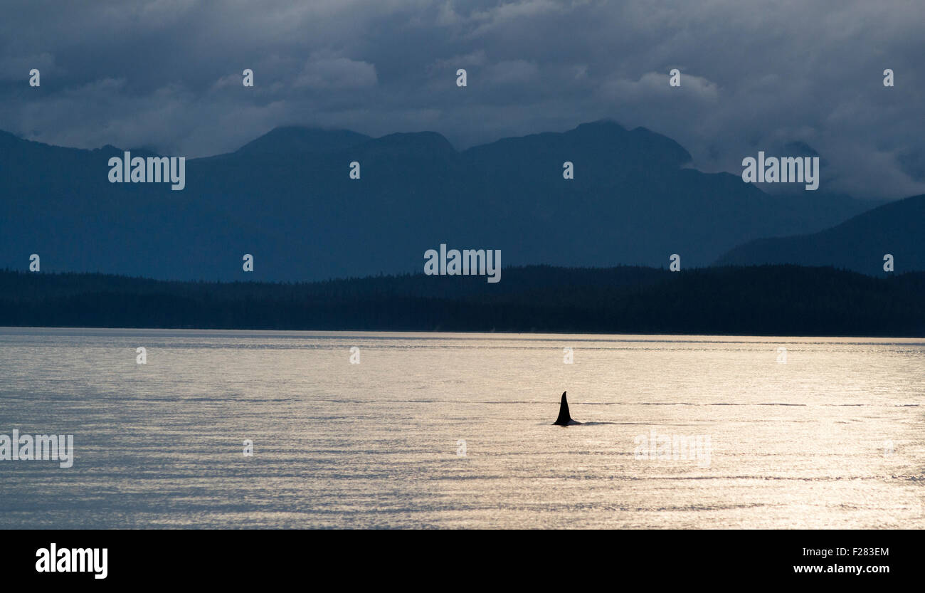 Stephens passage in southeast hi-res stock photography and images - Alamy