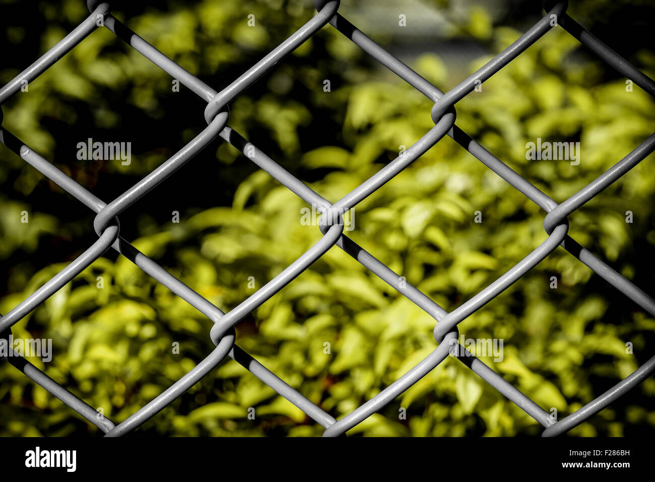 Wire metal fence illustrating freedom concept Stock Photo - Alamy