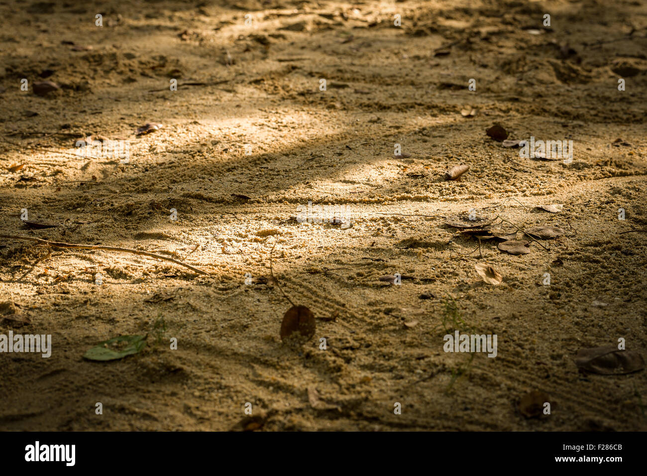 Tiny details hi-res stock photography and images - Alamy