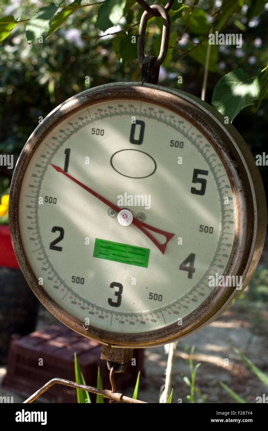 Photo of an old scale Stock Photo - Alamy