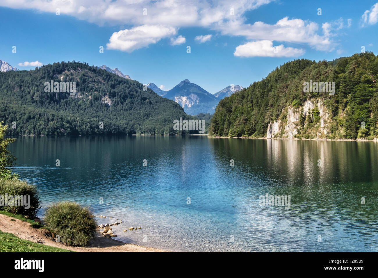 View Of Lake Alpsee Germany 575 Lake Alpsee Stock Photos, High Res