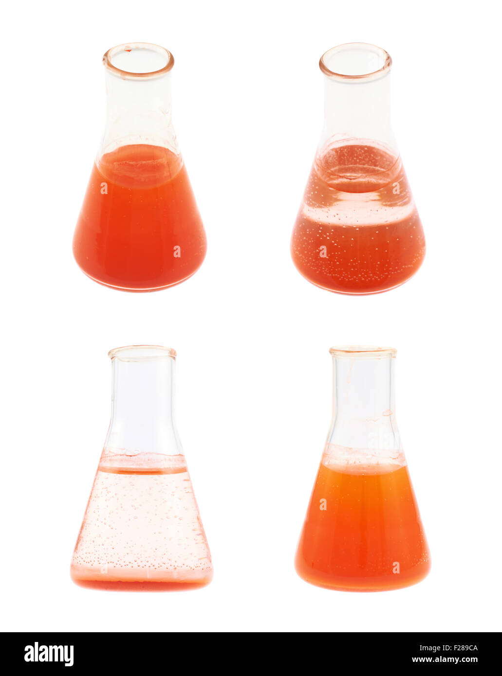 Erlenmeyer flask filled with the red colored liquid isolated over the ...