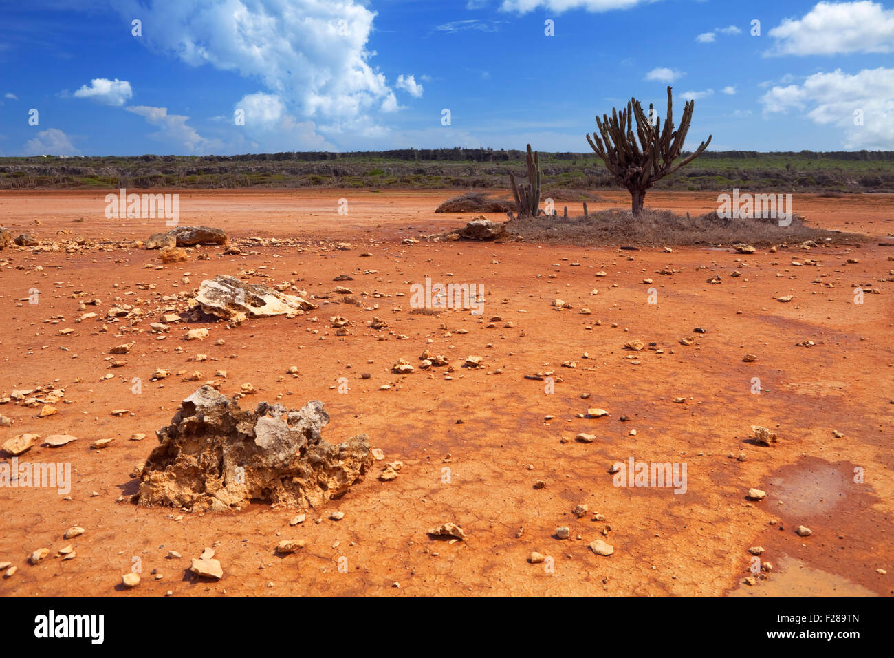 Desert plain hi-res stock photography and images - Alamy