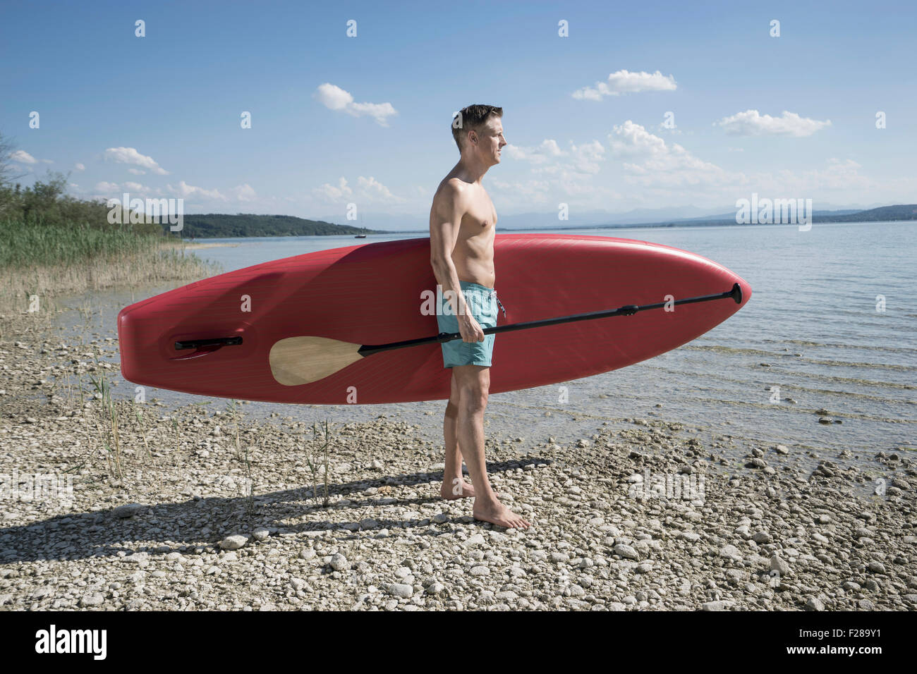 Mature man carrying paddleboard at lakeshore, Bavaria, Germany Stock ...