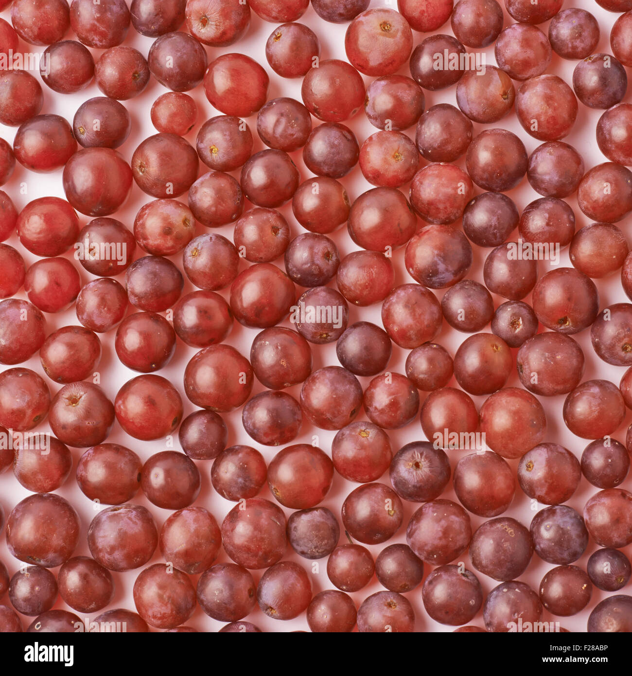 Surface covered with the dark red grapes as a background texture ...