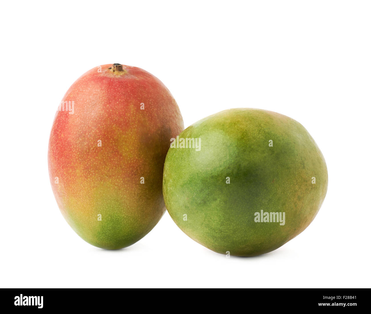 Two mango ripe fruits composition isolated over the white background ...