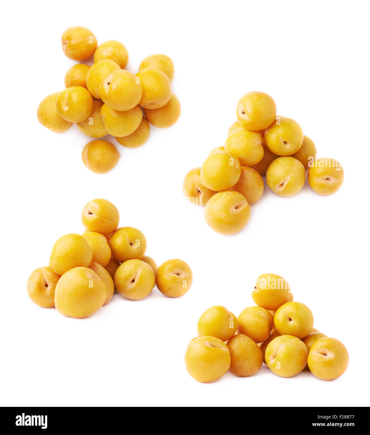 Pile of multiple yellow mirabelle plums isolated over the white ...