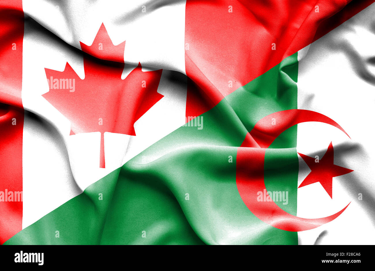 Waving flag of Algeria and Canada Stock Photo - Alamy