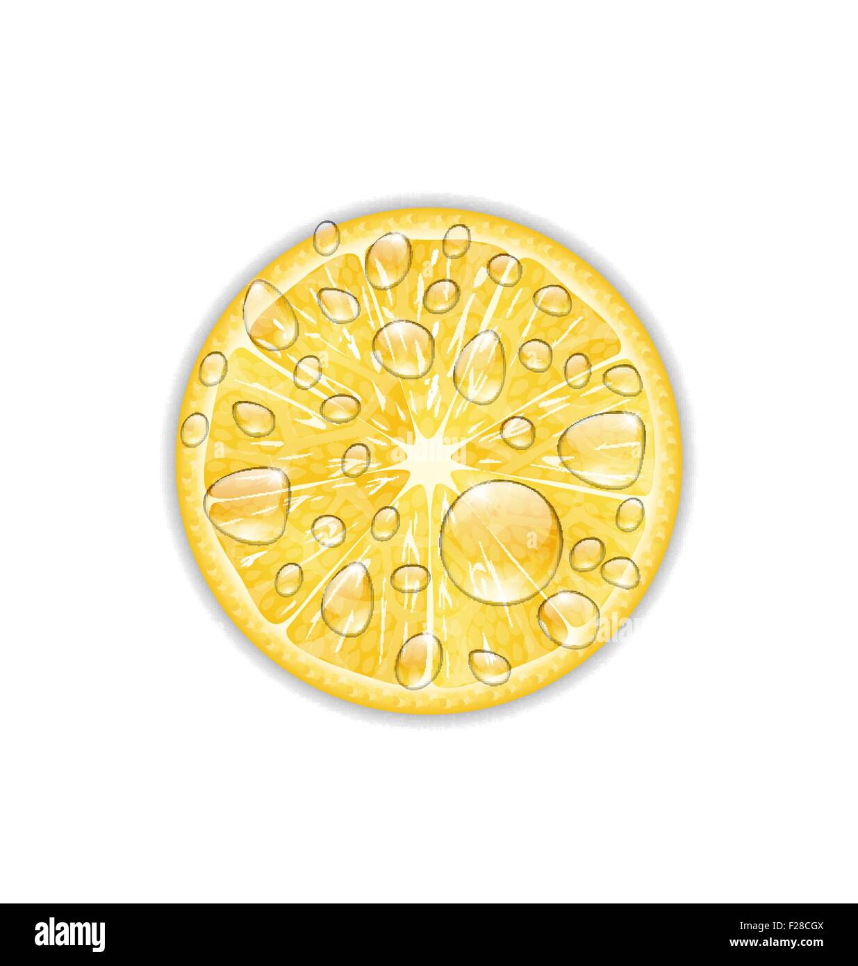 Half orange lemon water Stock Vector Images - Alamy