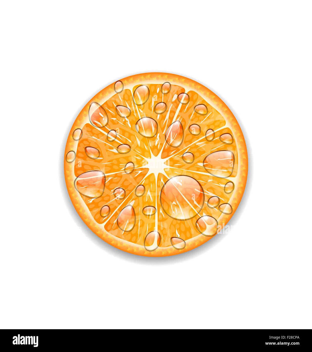 Orange slice closeup photo Stock Vector Images - Alamy