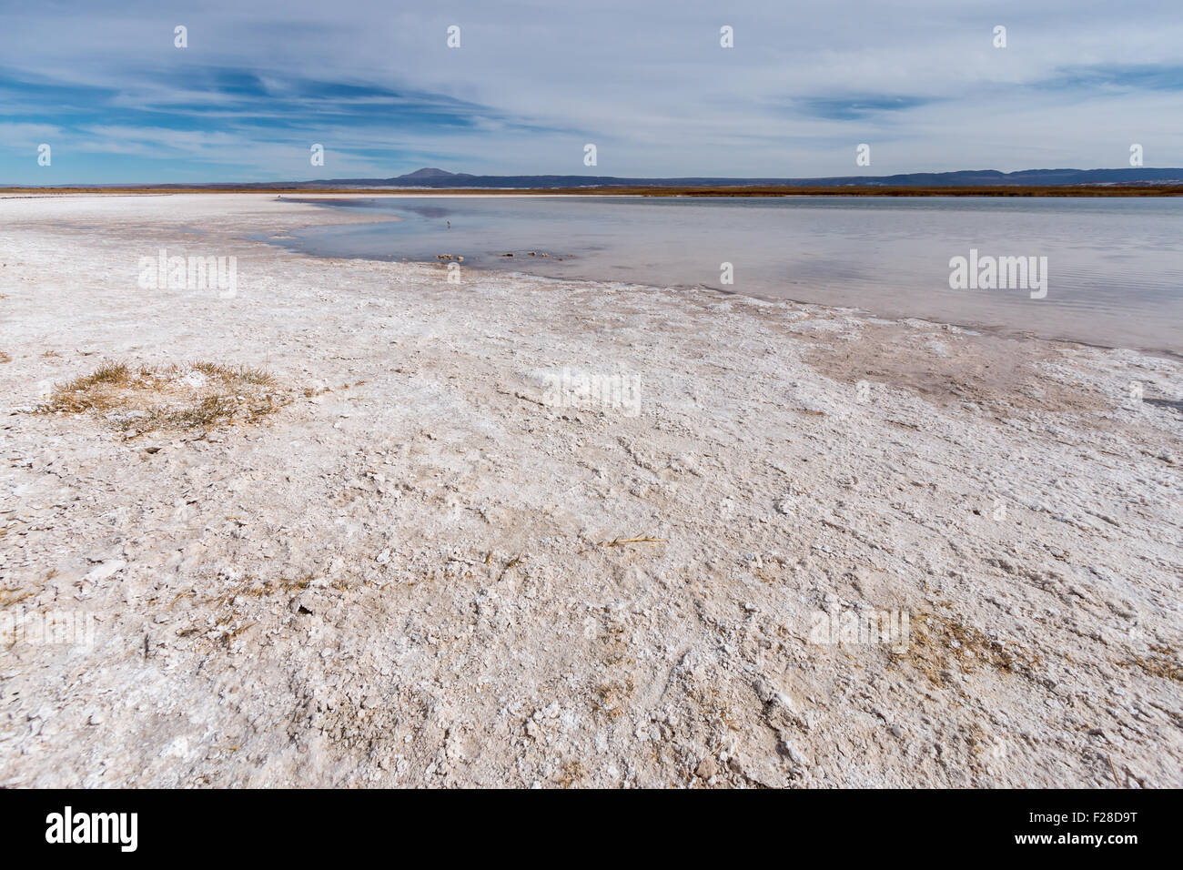 Atacama desert chile salt flats hi-res stock photography and images - Alamy