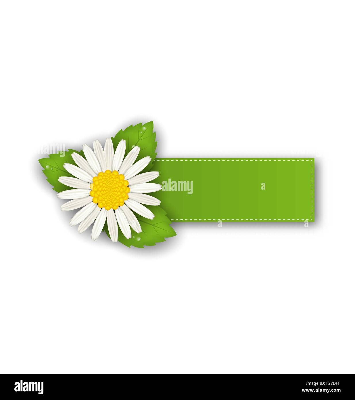 Daisy label hi-res stock photography and images - Alamy
