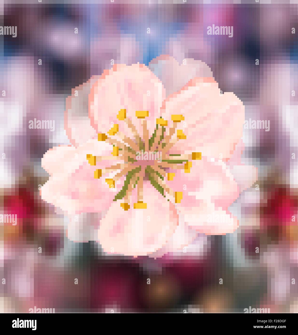 Peach tree flower with blurred background Stock Vector Images - Alamy