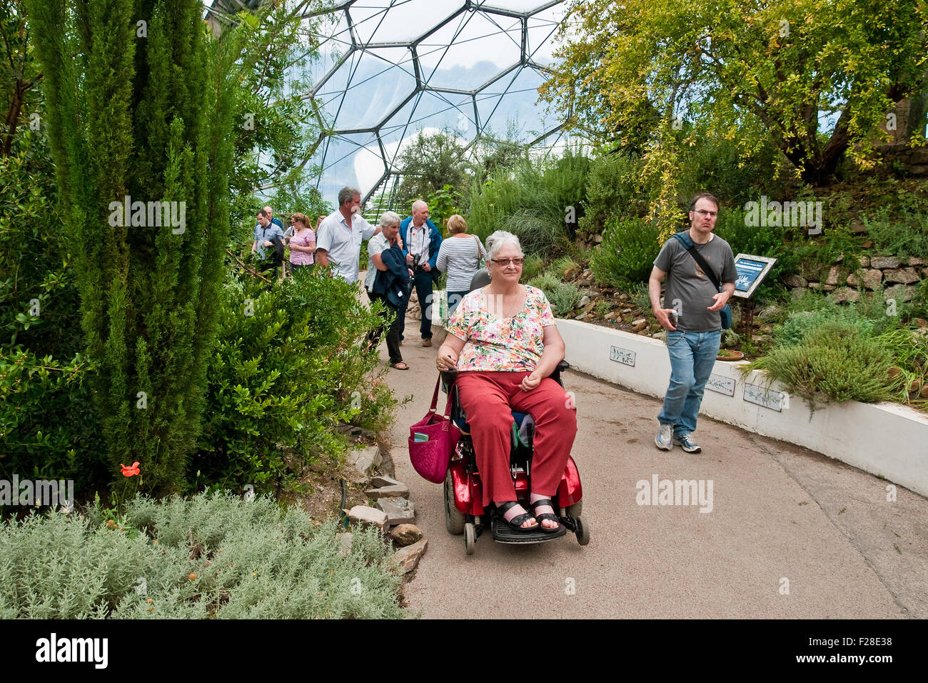 Disabled lady and other visitors enjoy the Mediterranean Biome at the ...