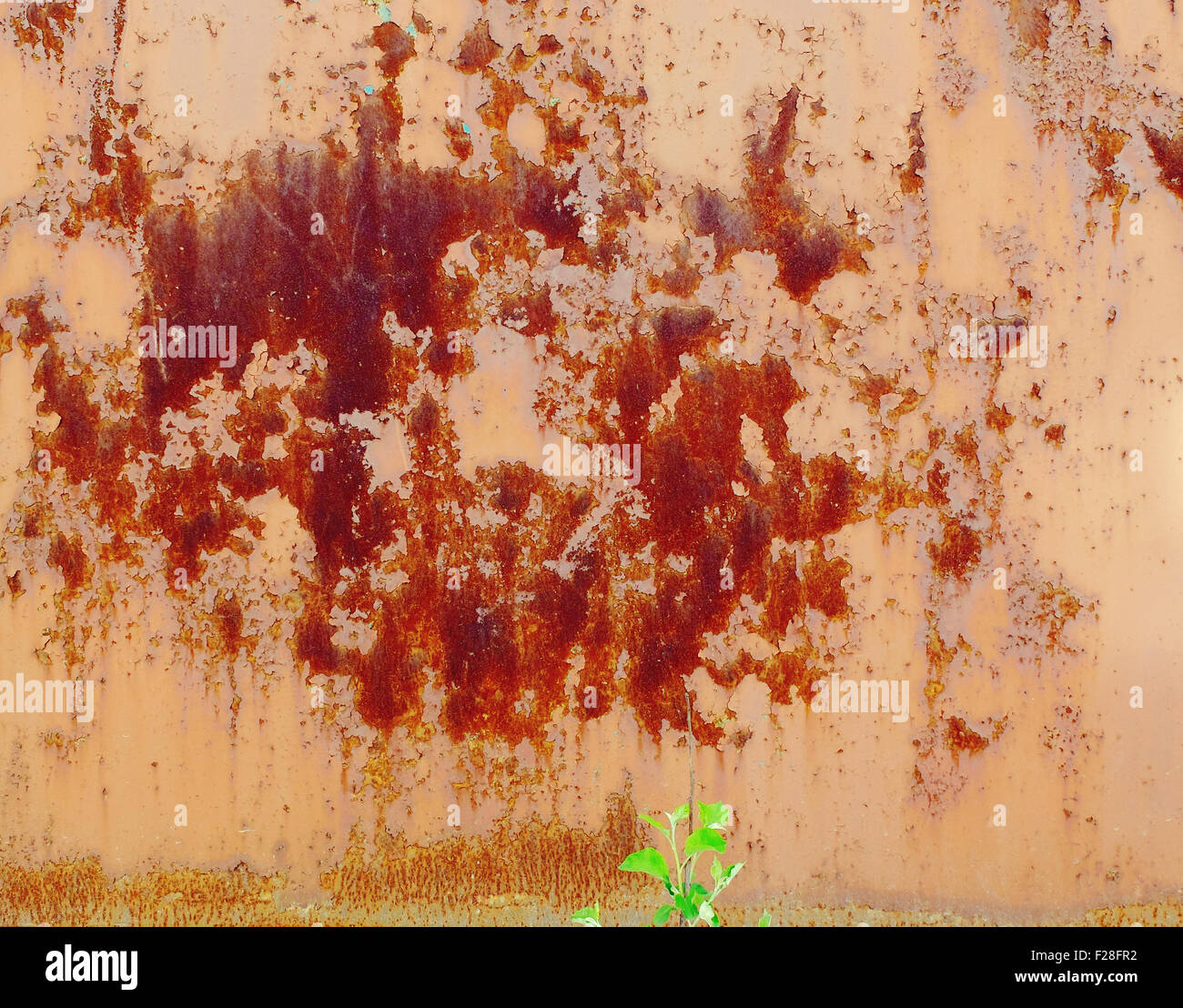 Red rusty old textured wall and small tree Stock Photo - Alamy
