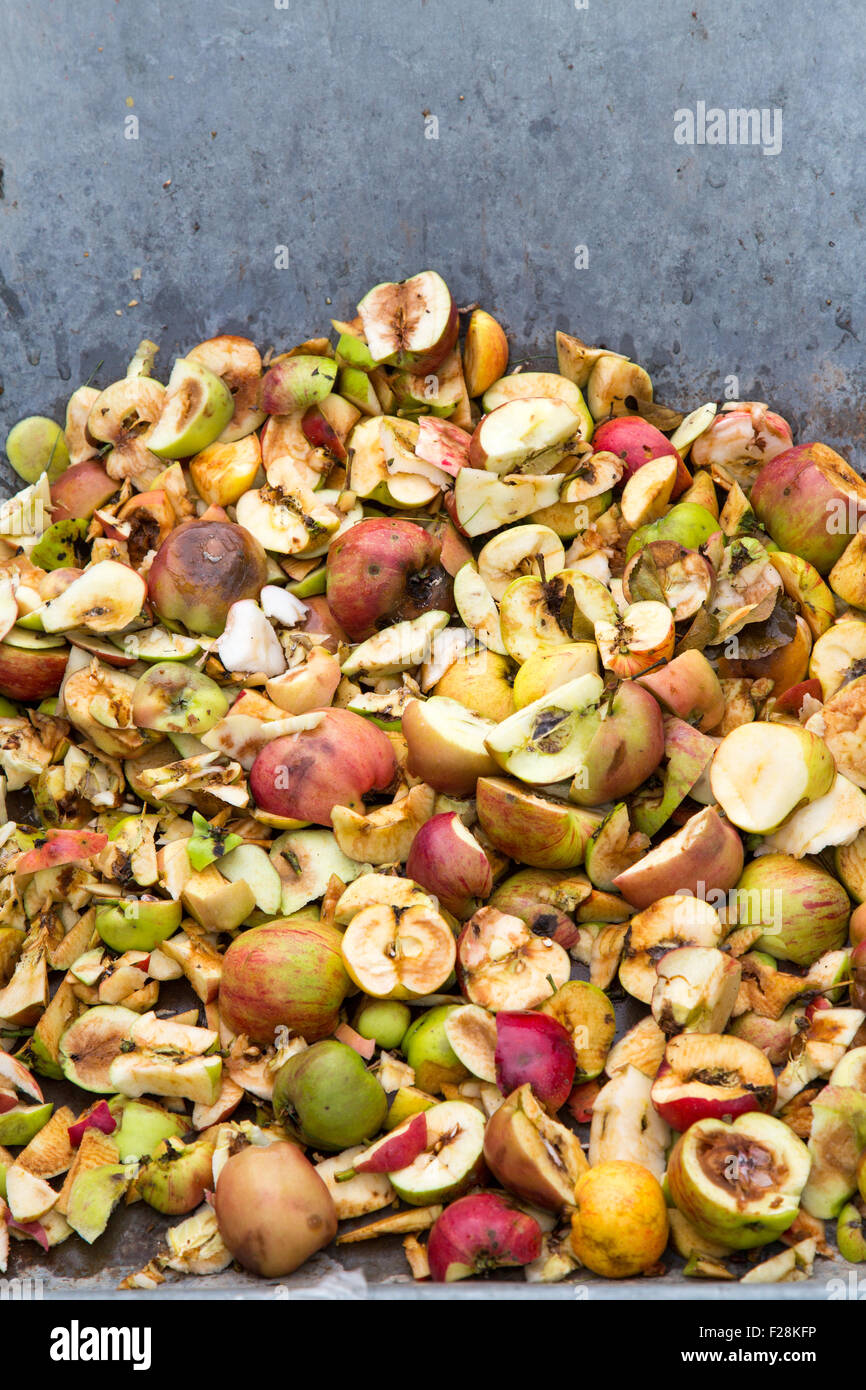 Food waste hi-res stock photography and images - Alamy