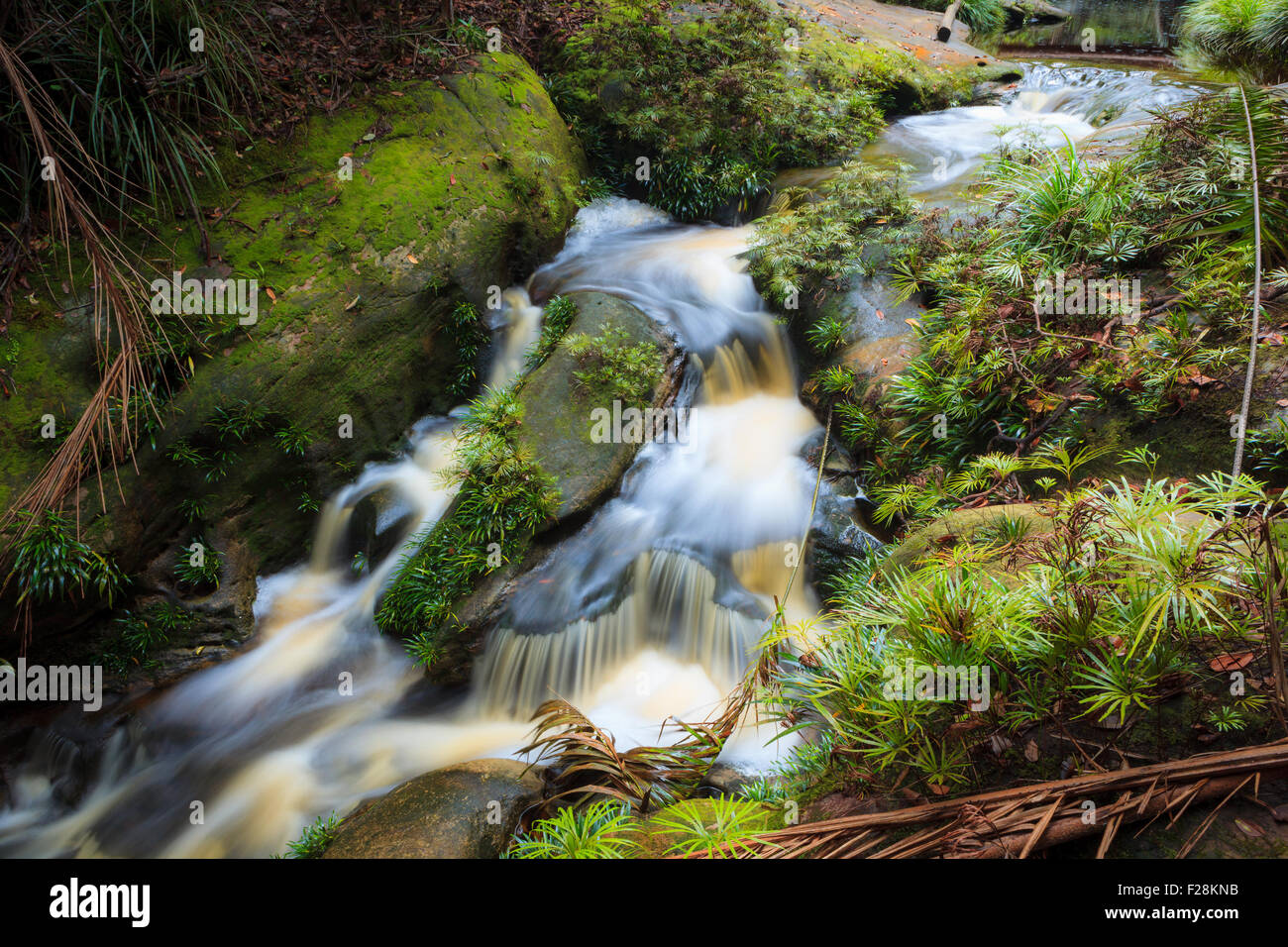 Small waterfall in jungle Stock Photo - Alamy