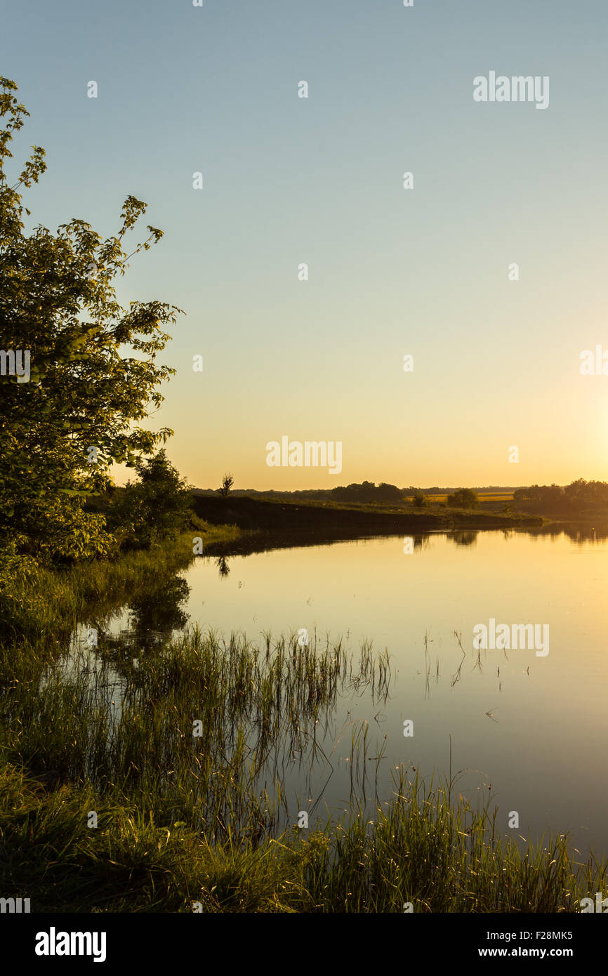 Lake fields grass river lake tree hi-res stock photography and images ...