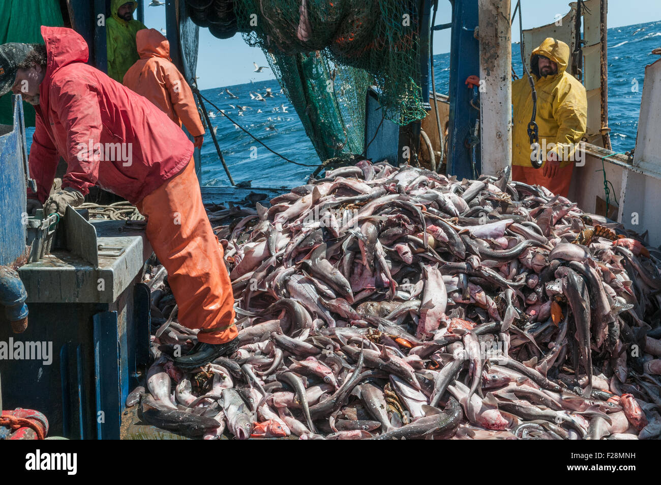 Overfishing hi-res stock photography and images - Alamy