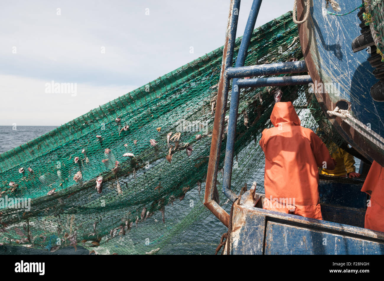 Hauling fish boat atlantic hi-res stock photography and images - Alamy