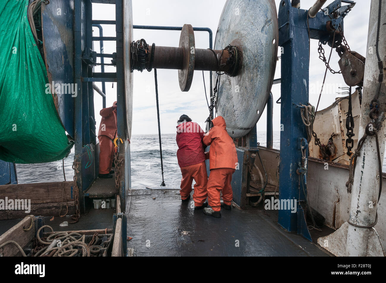 Hauling in dragger net filled with haddock, pollock, dogfish and ...