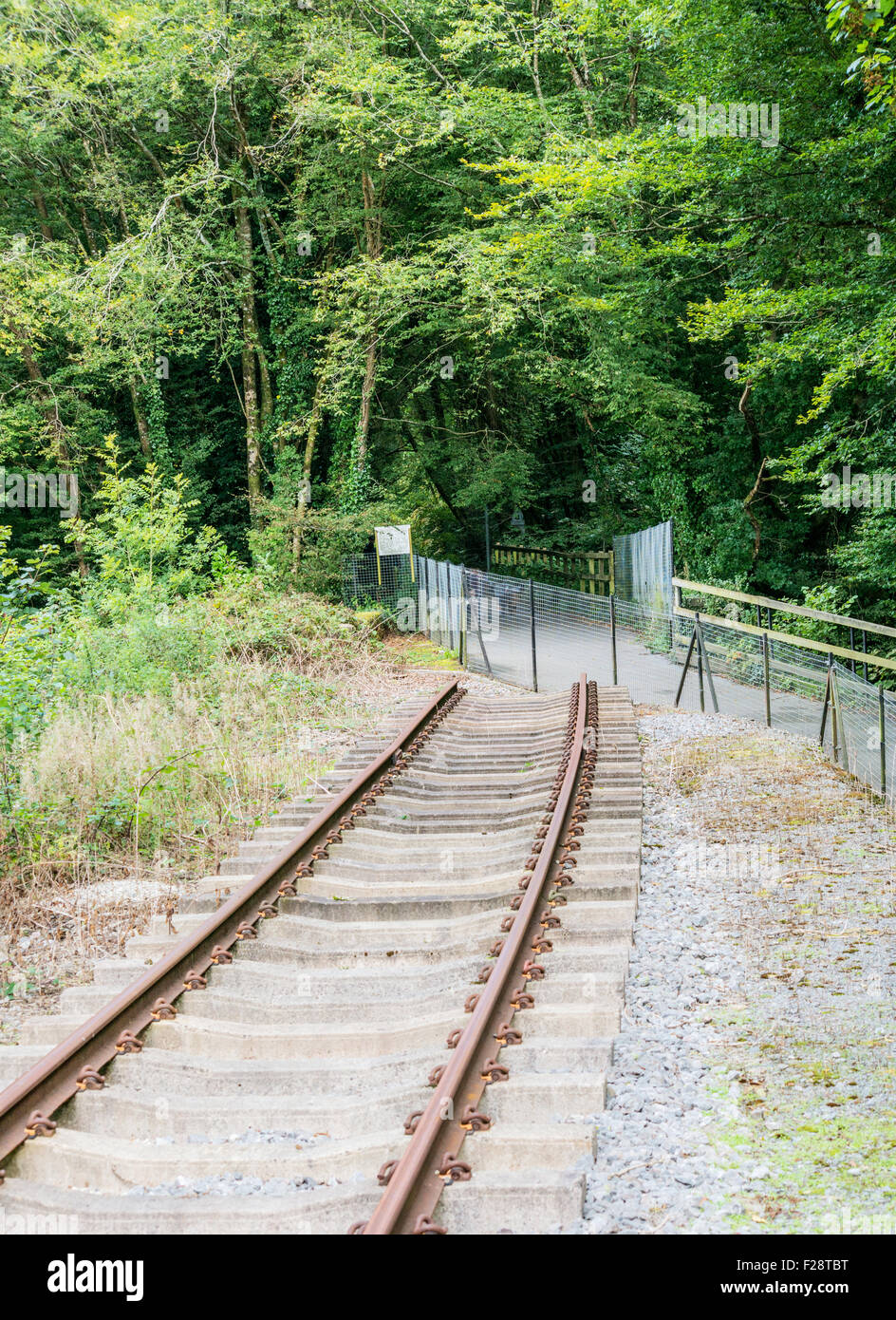 Plymouth finish hi-res stock photography and images - Alamy