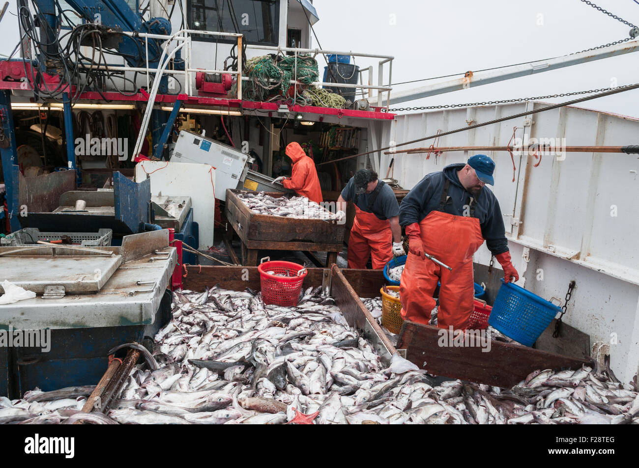 Pollock fish trawler hi-res stock photography and images - Alamy