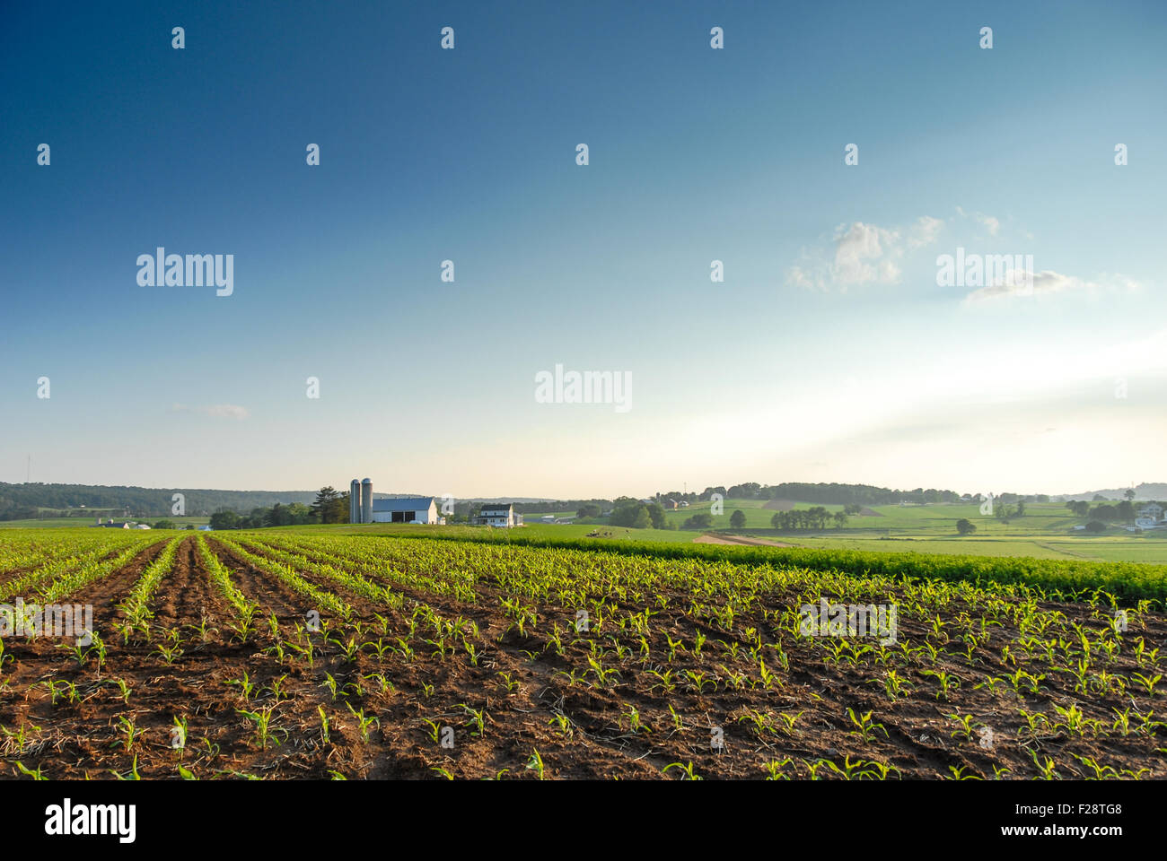 The late afternoon sun illuminates the scenic farmland of Lancaster ...