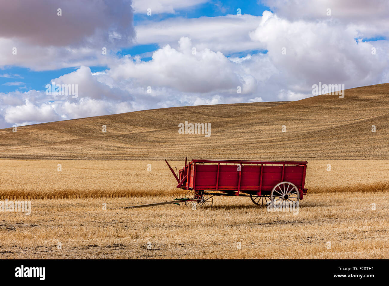 Wheat wagon in the field Stock Photo - Alamy