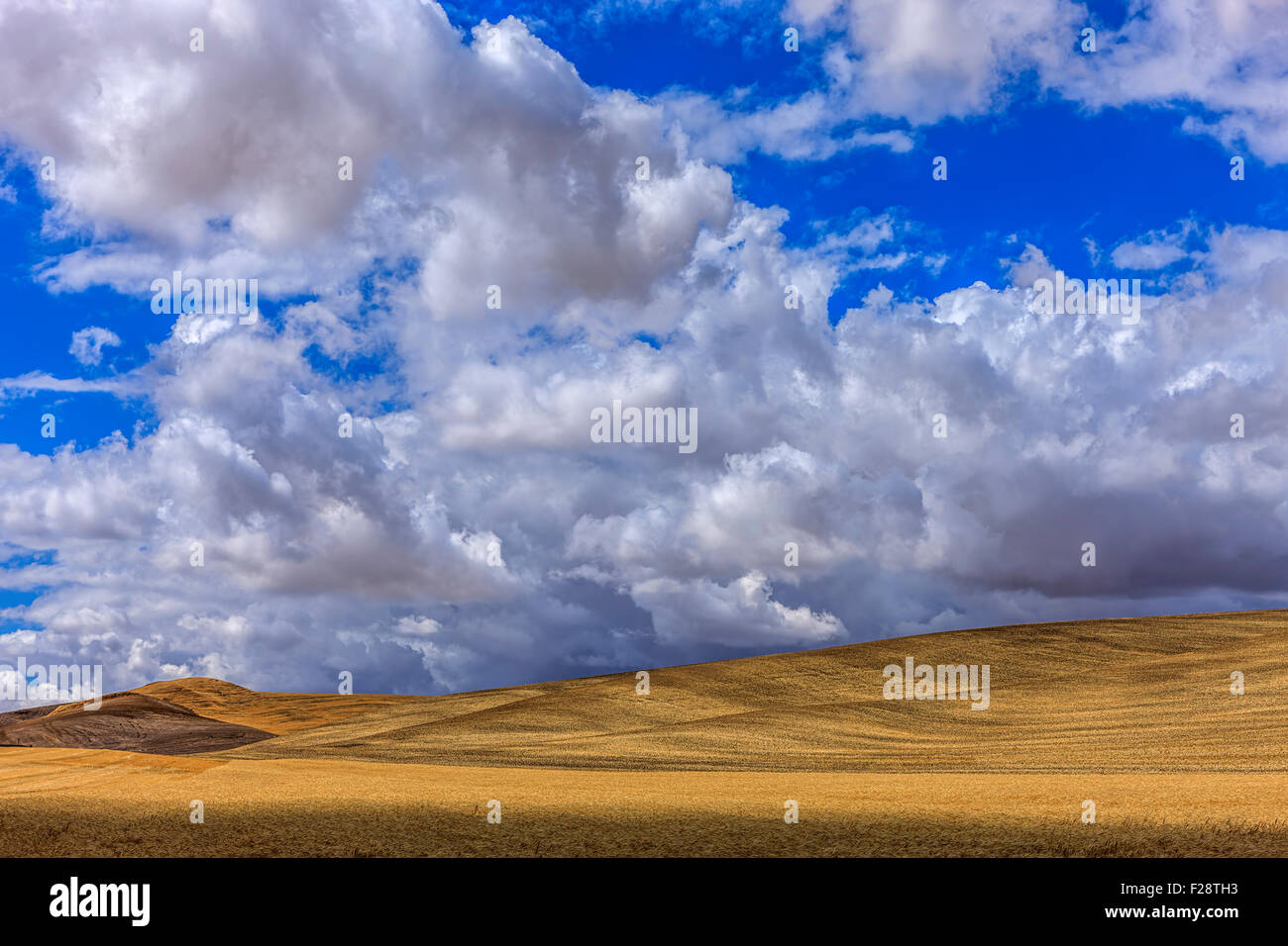 Rolling hills in the Palouse Stock Photo - Alamy