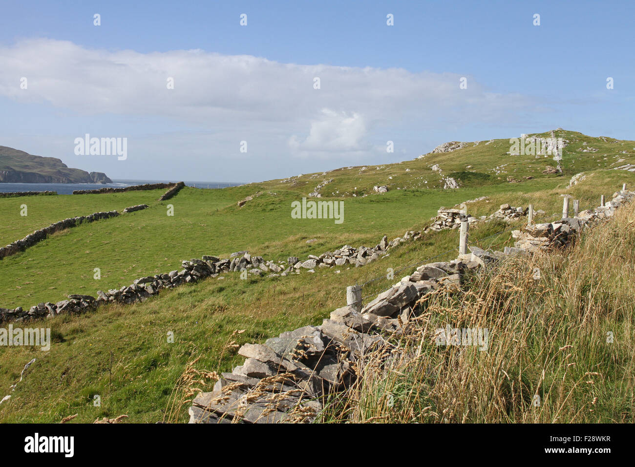 Farmland overlooking Sheephaven Bay at Portnablagh County Donegal ...