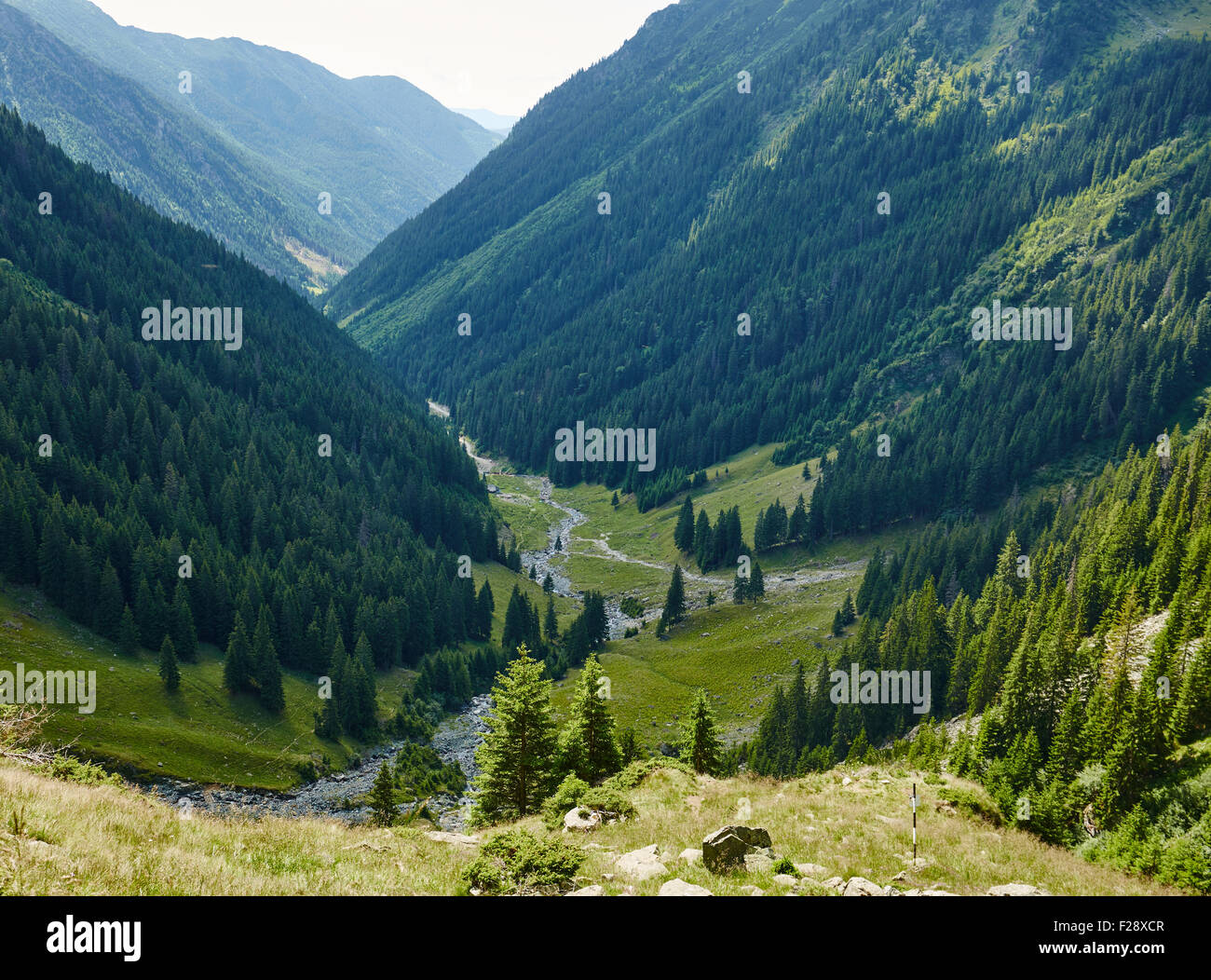 Mountain landscape with afforested valley and a small river Stock Photo ...
