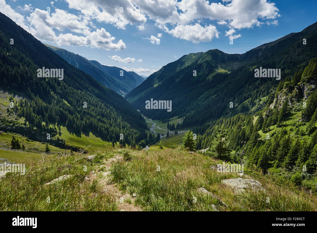 Mountain landscape with afforested valley and a small river Stock Photo ...